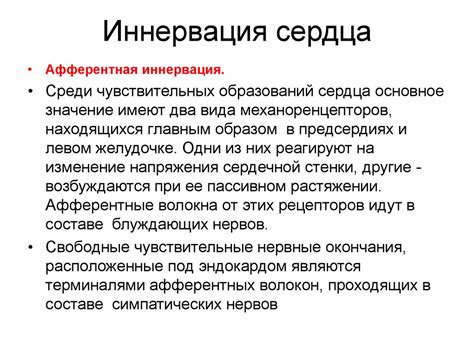 Регуляция работы сердца презентация онлайн