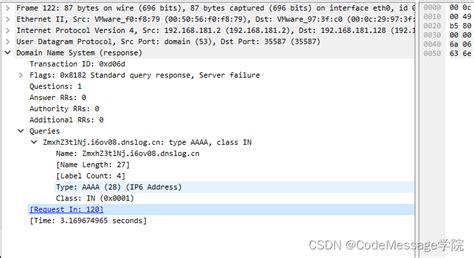 ctf流量分析 题集2 [闽盾杯 2021]dns协议分析 ctf dns流量分析 csdn博客