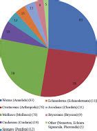 Number Of Species Per Species Group That Was Included In The Final List Download Scientific