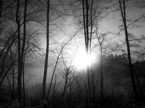 Обои природа на рабочий стол