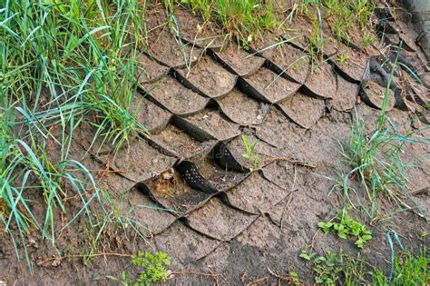 Volumetric Geogrid Strengthens Soil On Slope Polymer Geogrid Retaining