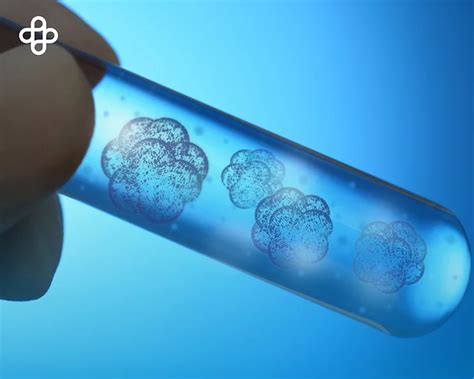 Células Madre Stem Cells