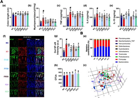 Rg Frg Ginsenoside Rd And Ck Mitigated Ucdf Induced Colitis And Gut Download Scientific