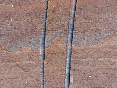 Worlds Oldest Fossils Found In Greenland The New York Times