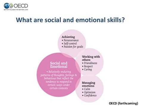 2014 10 10 Naec Seminar Identifying Social And Emotional Skills