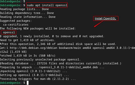 How To Update OpenSSL On Debian Linux Genie