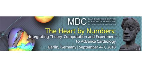 The Heart By Numbers Integrating Theory Computation And Experiment To The Heart By Numbers Integrating Theory Computation And Experiment To