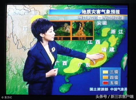 冬小麥什麼時候播種 每日頭條