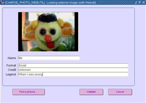 Oracle Forms 10g Demos Tips And Techniques