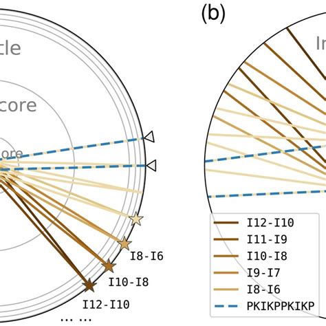 Ray‐paths For The Selected I2 Constituents Representing The Seismic Download Scientific