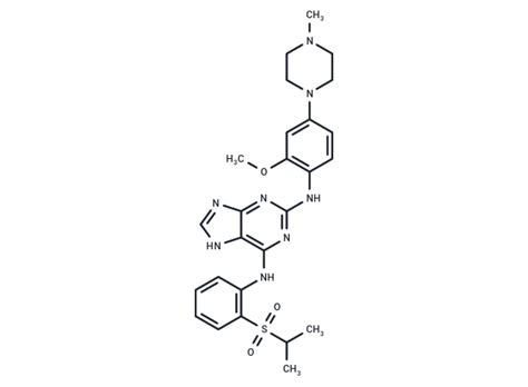 Dclk1 In 2 Targetmol
