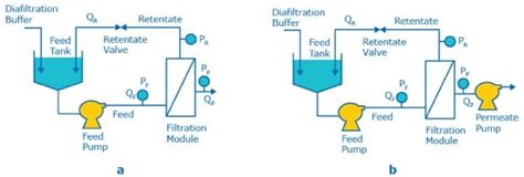 Scalable Tangential Flow Filtration (TFF) for Downstream Processing of ...