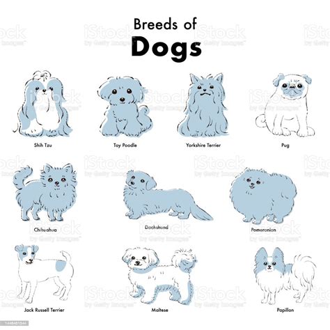 간단하고 귀여운 인기 개 품종 손으로 그린 선 그리기 벡터 일러스트 레이 션 세트 0명에 대한 스톡 벡터 아트 및 기타 이미지 0명 강아지 유치원 강아지 개 Istock