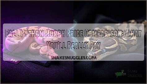 Ball Python Price Guide What Owners Really Pay In 2025 Complete Costs