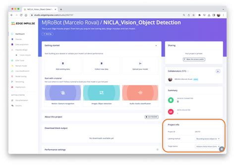 Object Detection Machine Learning Systems