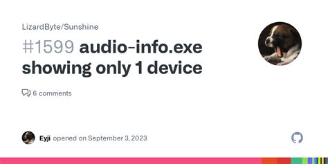 Audio Infoexe Showing Only 1 Device · Issue 1599 · Lizardbyte