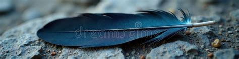 Single Crow Feather Obsidian Shine Rests On Coarse Grey Stone Black