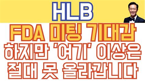 Hlb 에이치엘비 매수 매도 주가전망 Fda 미팅 기대감 하지만 여기 이상은 절대 못 올라갑니다 Youtube
