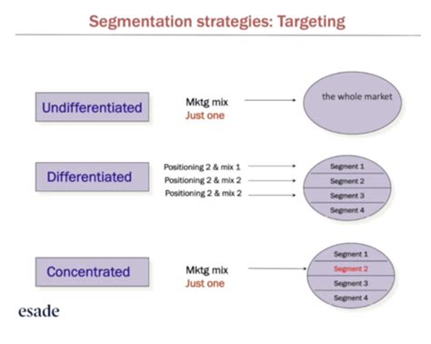 segmentation and positioning flashcards quizlet
