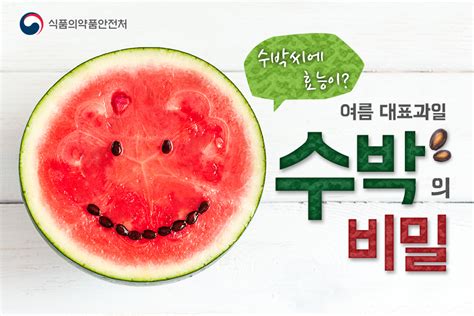 식품안전지식 여름 대표과일 수박의 비밀