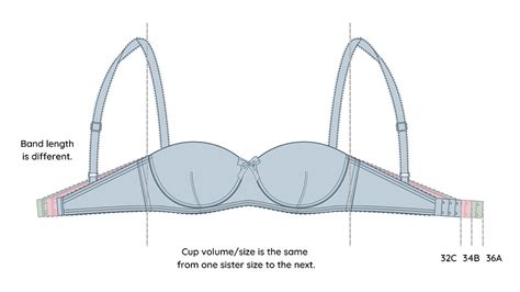 The Secret To Bra Sister Sizes And How To Use Them Krstn Ndrsn