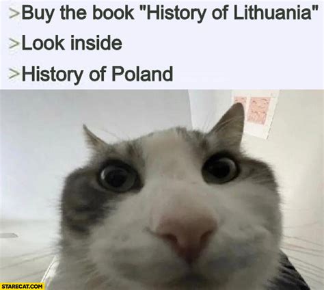 Cat Buy The Book History Of Lithuania Look Inside History Of Poland