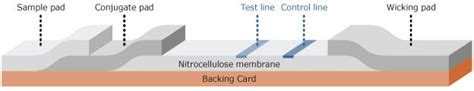 Sensitivity Lateral Flow Diagnostic Assays