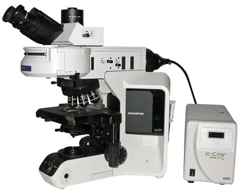 Olympus Bx53 Compound Fluorescence Microscope