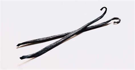 Vanillin 10 By The Flavor Apprentice Flavours To Go