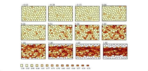 Evolution Of Constriction Patterns As Predicted By The Enhanced Agf Download Scientific
