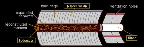 Nova Online Search For A Safe Cigarette Anatomy Of A Cigarette