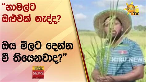 ගොවිතැනට වින කෙටූ රෝගය නාමල්ට ඔළුවක් නැද්ද ඔය මිලට දෙන්න වී තියෙනවාද Hiru News Youtube