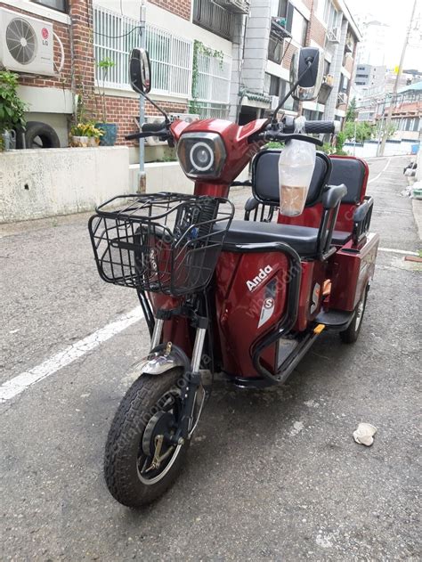 소리전자 삼륜 2인승 어르신 전동 스쿠터가격다운