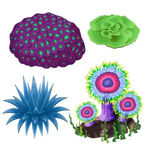 60 Zoanthid Illustrations Stock Illustrations Royalty Free Vector