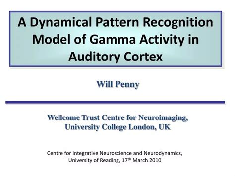 Ppt A Dynamical Pattern Recognition Model Of Gamma Activity In Auditory Cortex Powerpoint