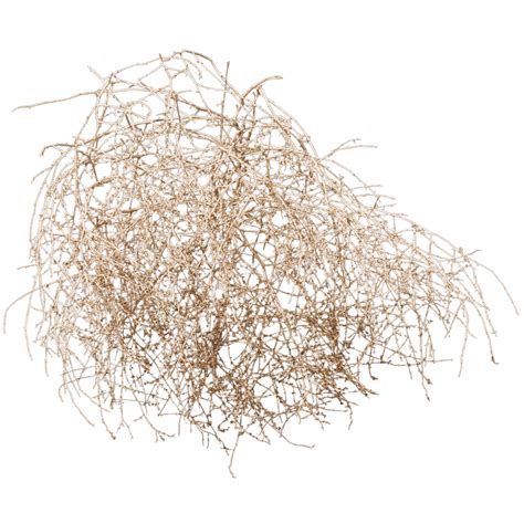 Home Tumbleweed Terminator