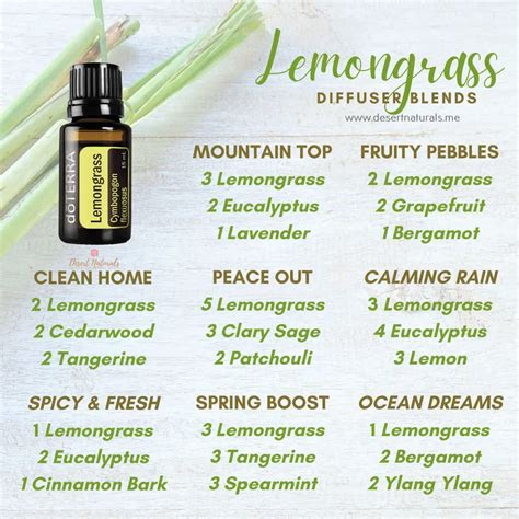 Refresh Your Space With Lemongrass Diffuser Blends