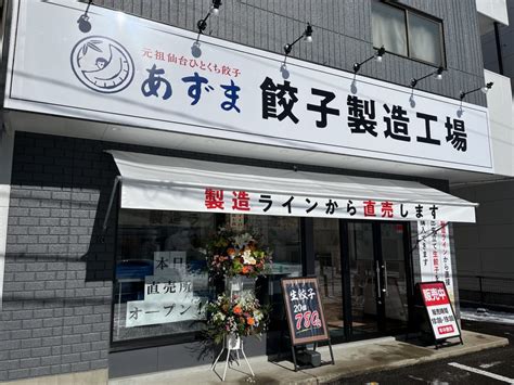 デビュー。 株式会社エムシス