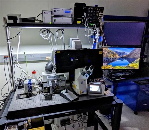 Fluorescence Equipped For Fast Execution Of Automated Acquisition