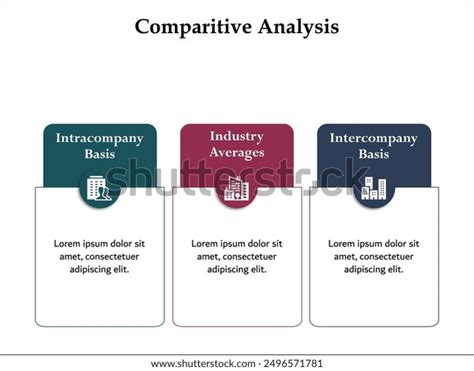 Three Types Comparative Analysis Intercompany Basis Stock Vector