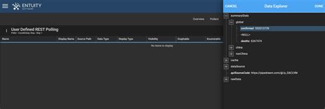 Example Workflows Of Creating User Defined Rest Pollers Entuity
