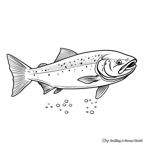 Salmon Coloring Pages Free And Printable