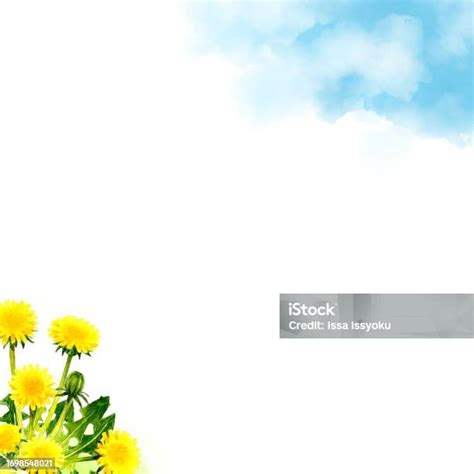 민들레의 클립 아트 배경입니다 수채화 연필은 봄 식물의 손으로 그린 그림입니다 4월에 대한 스톡 벡터 아트 및 기타 이미지 4월 개화기 건강한 식생활 Istock