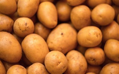 알고 먹으면 더 맛있는 감자 감자의 효능과 종류 파이낸셜뉴스
