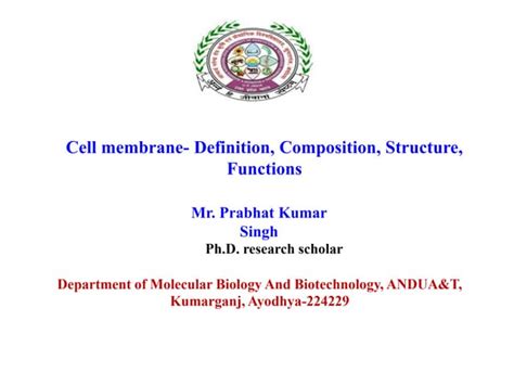 Structure Of Model Membrane Pptx