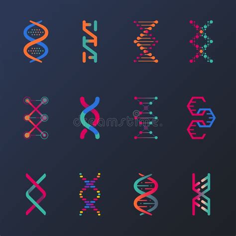 Set Of Isolated Dna Helix Or Spirals Cell Stock Vector Illustration