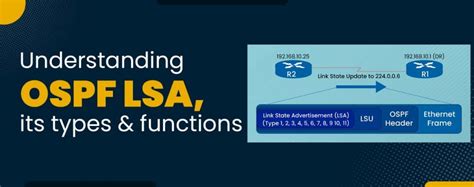 Understanding The 7 Popular Ospf Lsa Types Pynet Labs