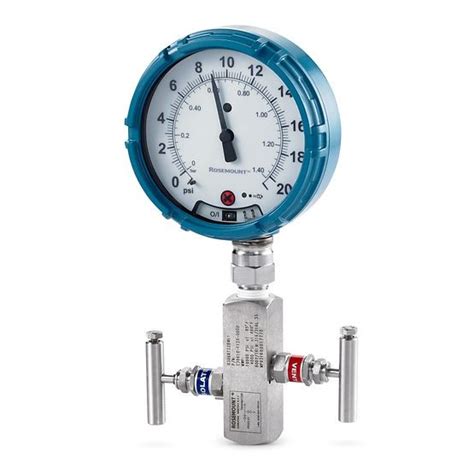 Rosemount™ Wireless Pressure Gauge Wpg By Rosemount Ar Valve Resources