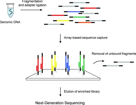 Hexa Reports Next Generation Sequencing Market Size Share Trends And Forecast 2016