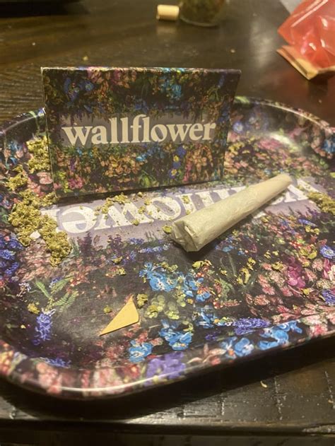 just moved r octrees